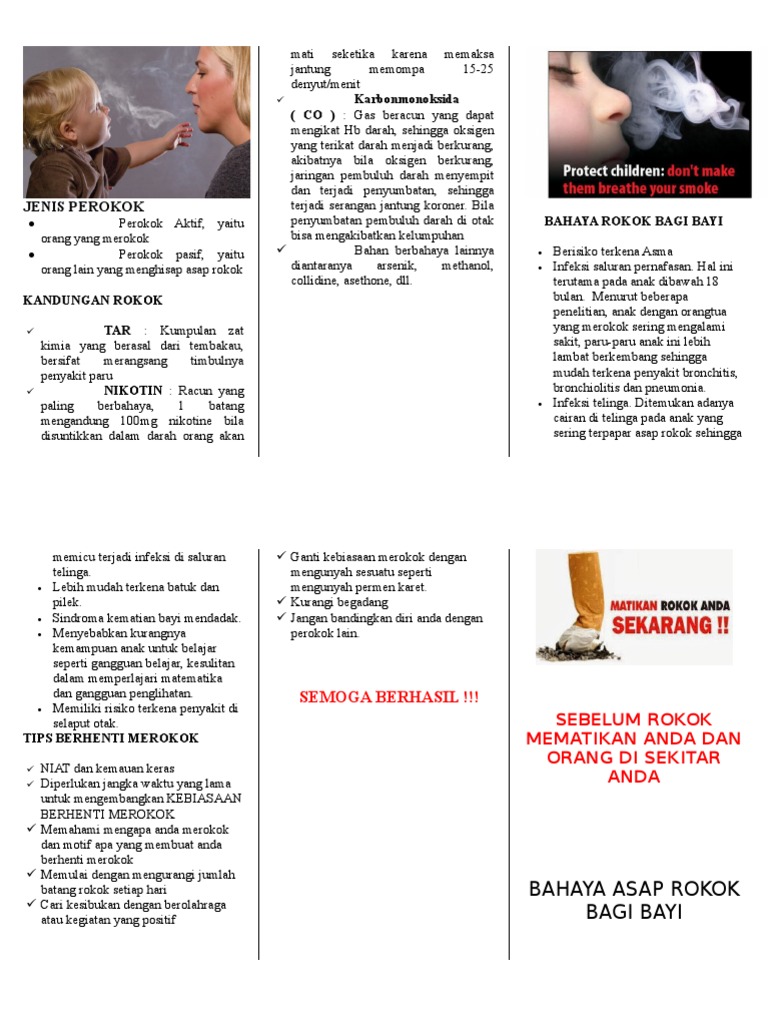 Leaflet Bahaya Rokok Bagi Bayi | PDF