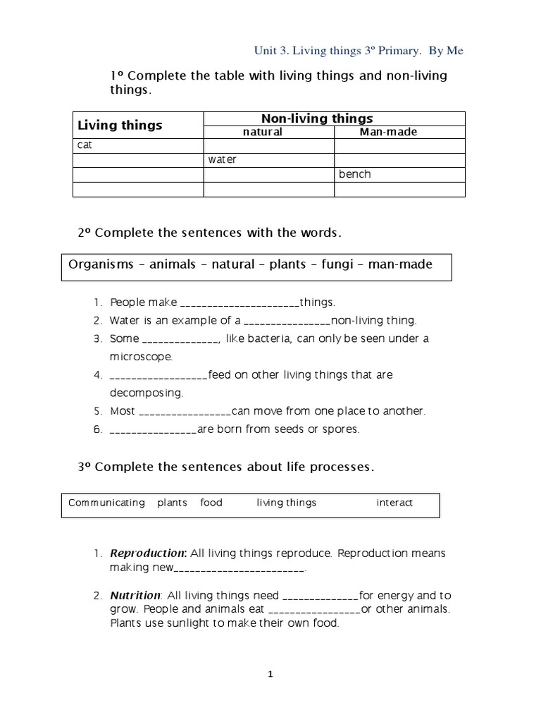 Exam Unit 3 Sciences 3º by Me | PDF | Reproduction | Life
