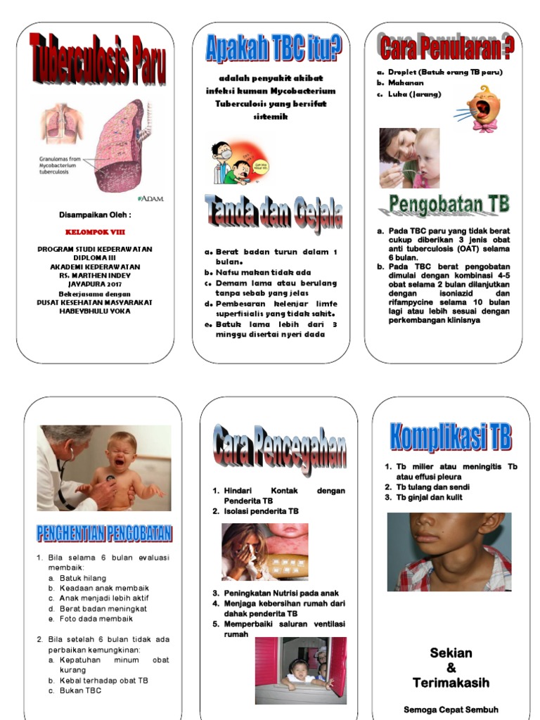 Leaflet TB Paru | PDF