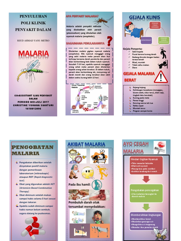 Leaflet Malaria | PDF