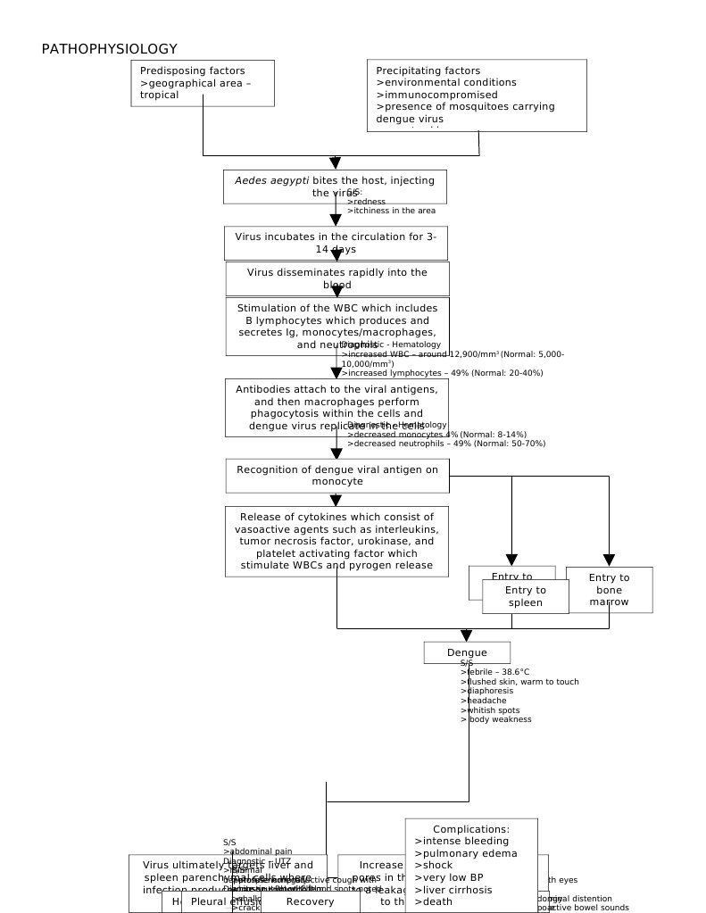 Dengue Pathophysiology and Symptoms | PDF | Monocyte | White Blood Cell