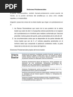 Síndromes Alternos del Tallo Cerebral | PDF | Sistema nervioso central ...