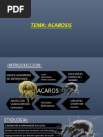 Ácaros del polvo: Dermatophagoides y Euroglyphus | PDF | Alergia
