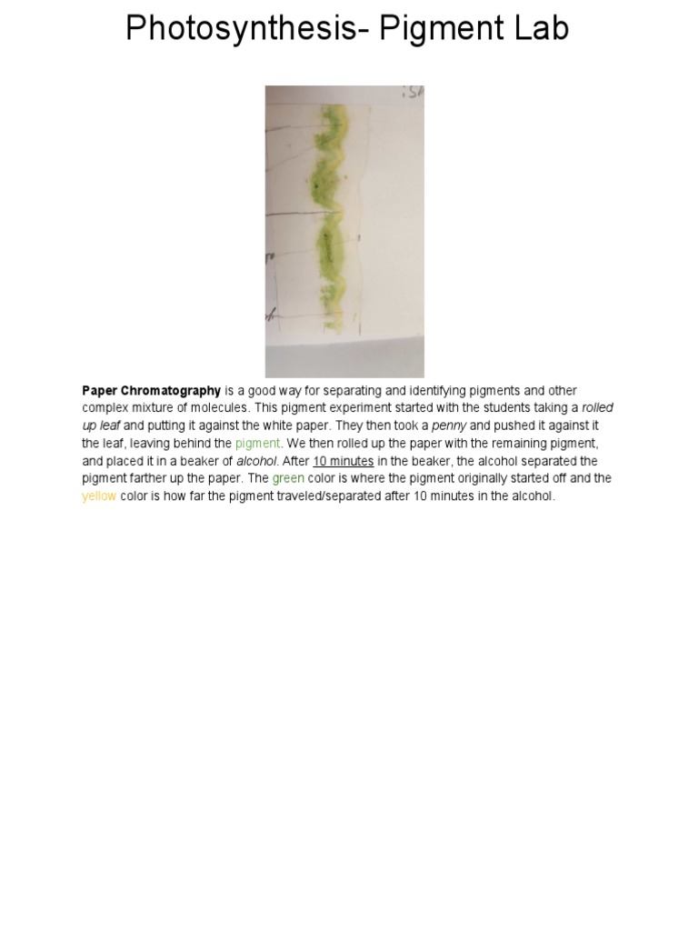 Photosynthesis-Pigment Lab | PDF
