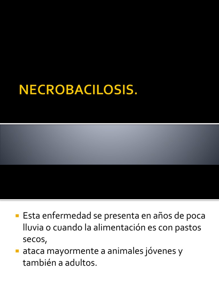 Necrobacilosis en Animales: Síntomas y Tratamiento | PDF | Hogar ...