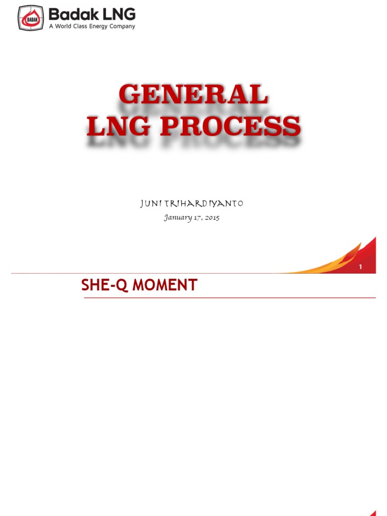 General LNG Process | Download Free PDF | Liquefied Natural Gas | Propane