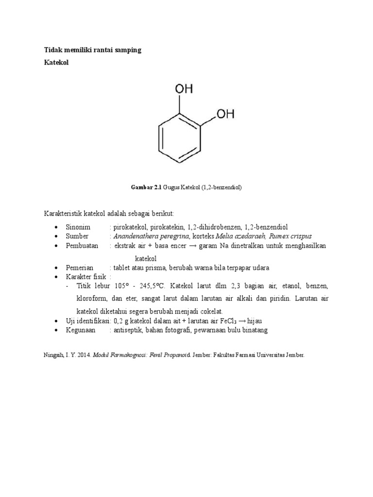 Karakteristik dan Kegunaan Katekol | PDF