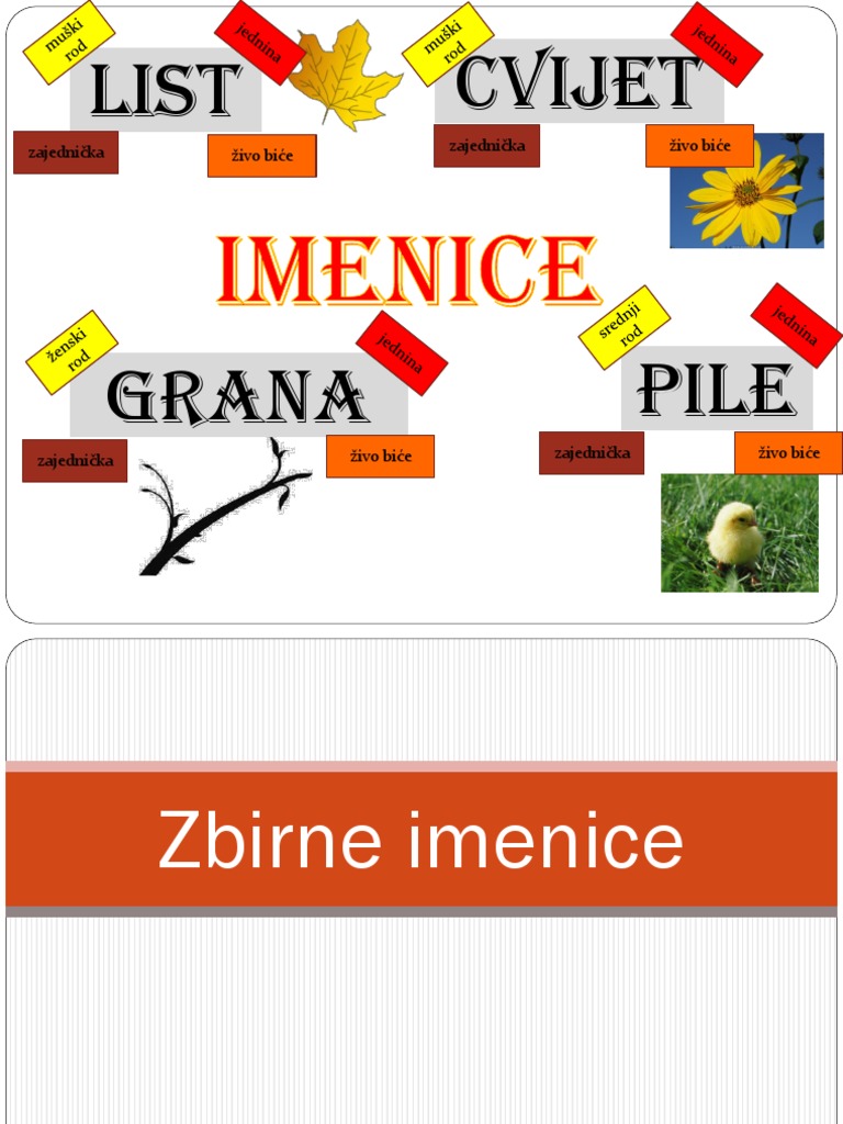 zbirne-imenice-obrada
