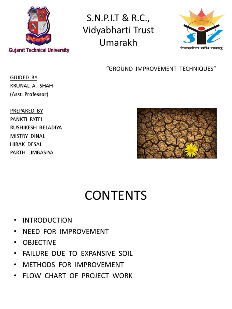 Ground Improvement Techniques Pdf Soil Horticulture And Gardening