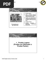 Wolman Pebble Count Method Explained | PDF