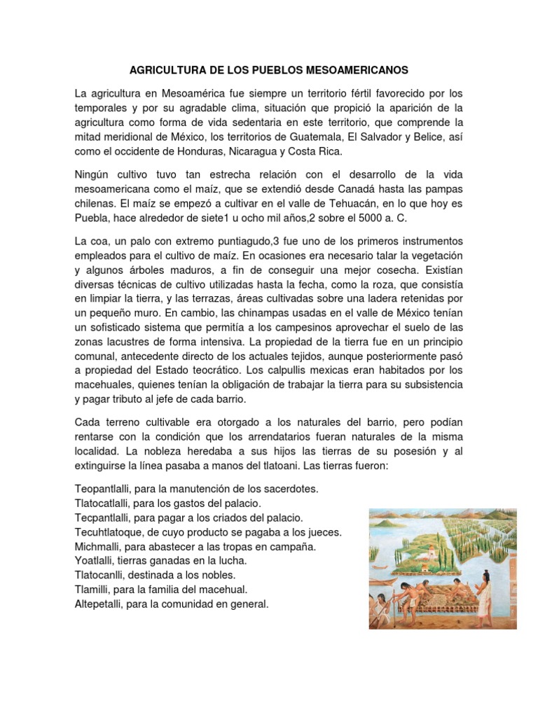 Agricultura de Los Pueblos Mesoamericanos | PDF | Mesoamérica | Agricultura