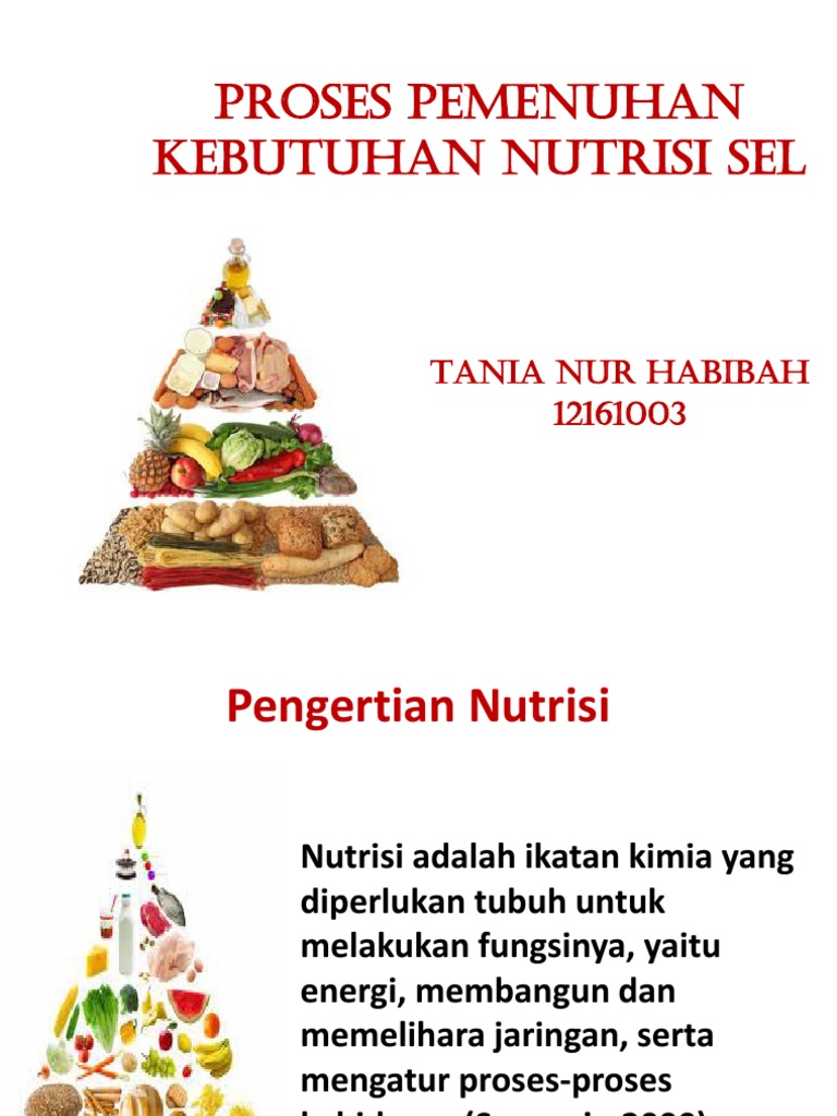 Nutrisi Untuk Kesehatan Pdf