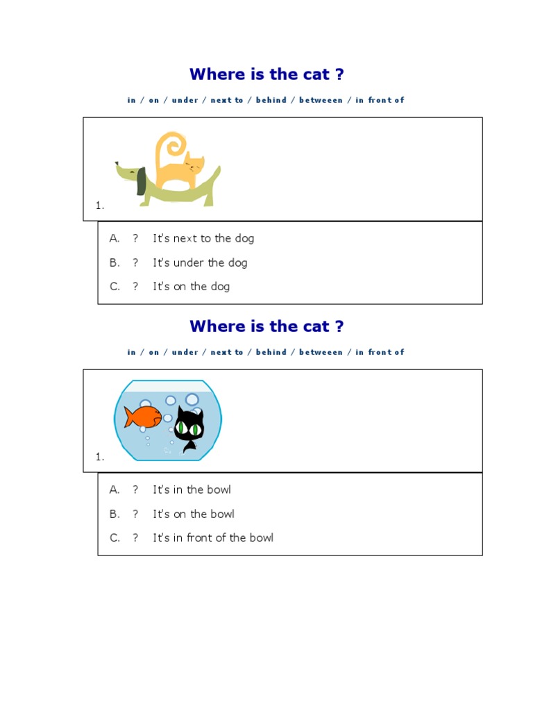 Exercise 1. Where Is The Cat | PDF | Nature