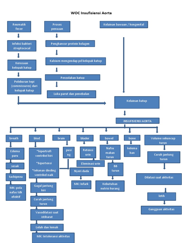 Insufisiensi Aorta dan Dampaknya | PDF