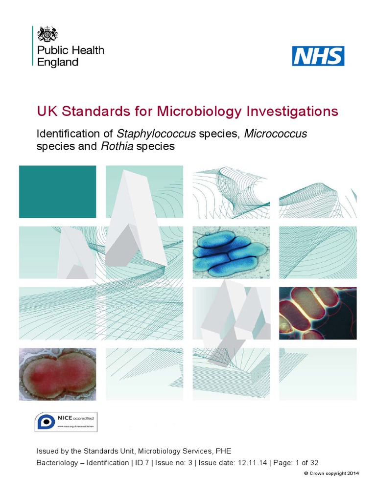 Identification of Staphylococcus Species Micrococcus PDF | PDF ...
