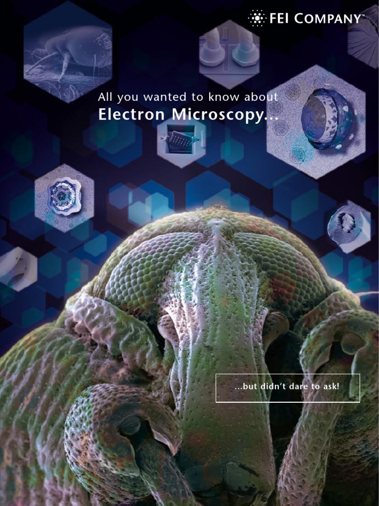 All You Wanted To Know About Electron Micros PDF | Download Free PDF ...