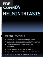 Road Runner Chicken Farming in Zimbabwe | PDF | Chicken | Egg