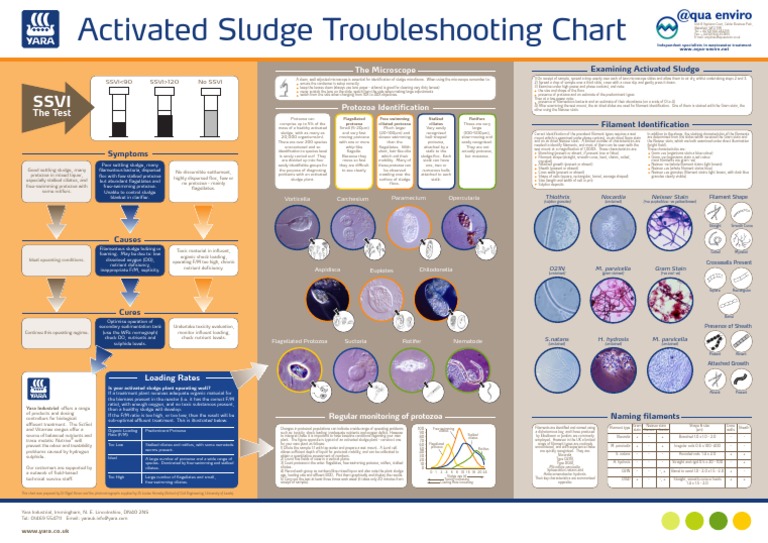 Activated-Sludge-Troubleshooting-Chart (1).pdf | Protozoa | Organisms