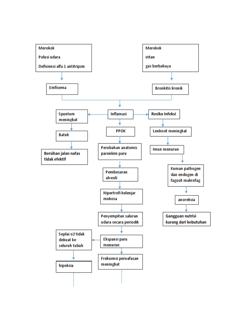 Patofisiologi Ppok | PDF
