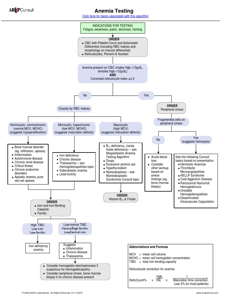 Anemia Testing Algorithm.pdf | Anemia | Hematology | Free 30-day Trial ...