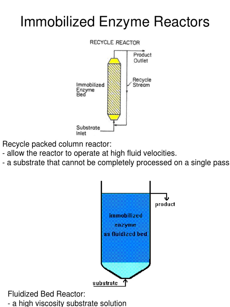 Lecture Notes Enzyme Web 4 | Diffusion | Reaction Rate