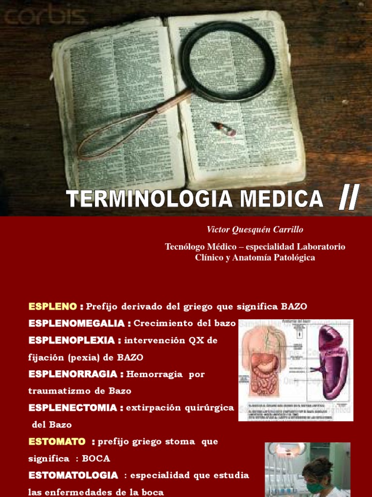 Terminología Médica: Esplenorragia | PDF | Sangre | Hígado