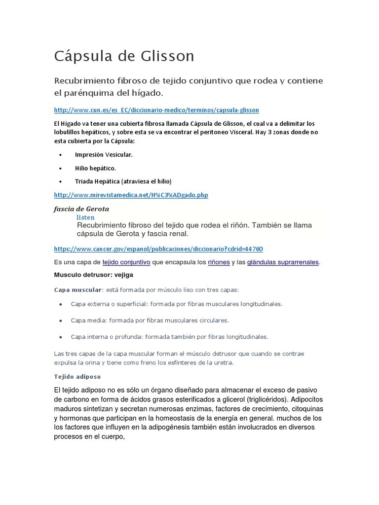 Anatomía de la Cápsula de Glisson | PDF | Tejido adiposo | Riñón