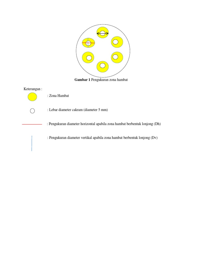 Gambar 1 Pengukuran Zona Hambat | PDF