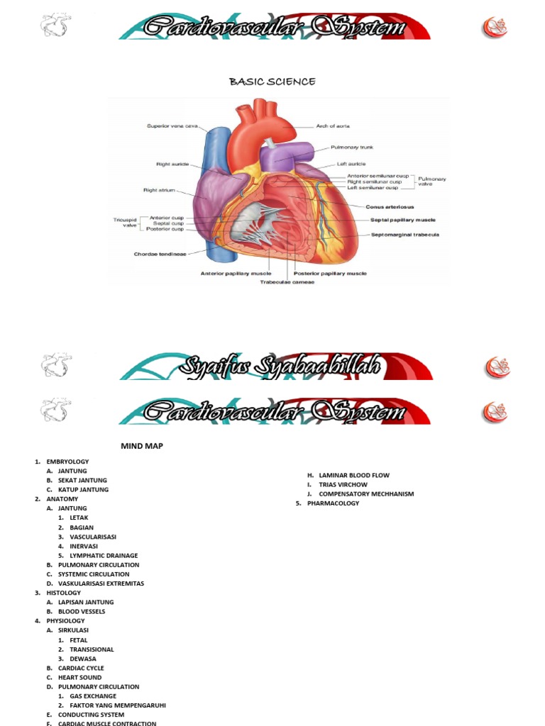 Ds Basic Science | PDF