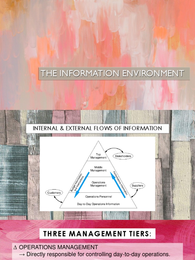 The Information Environment | PDF | Databases | Information System