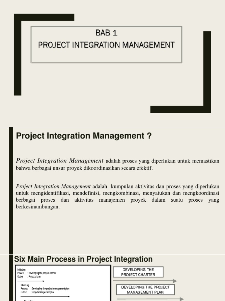 Management Project - Project Integration Management | PDF