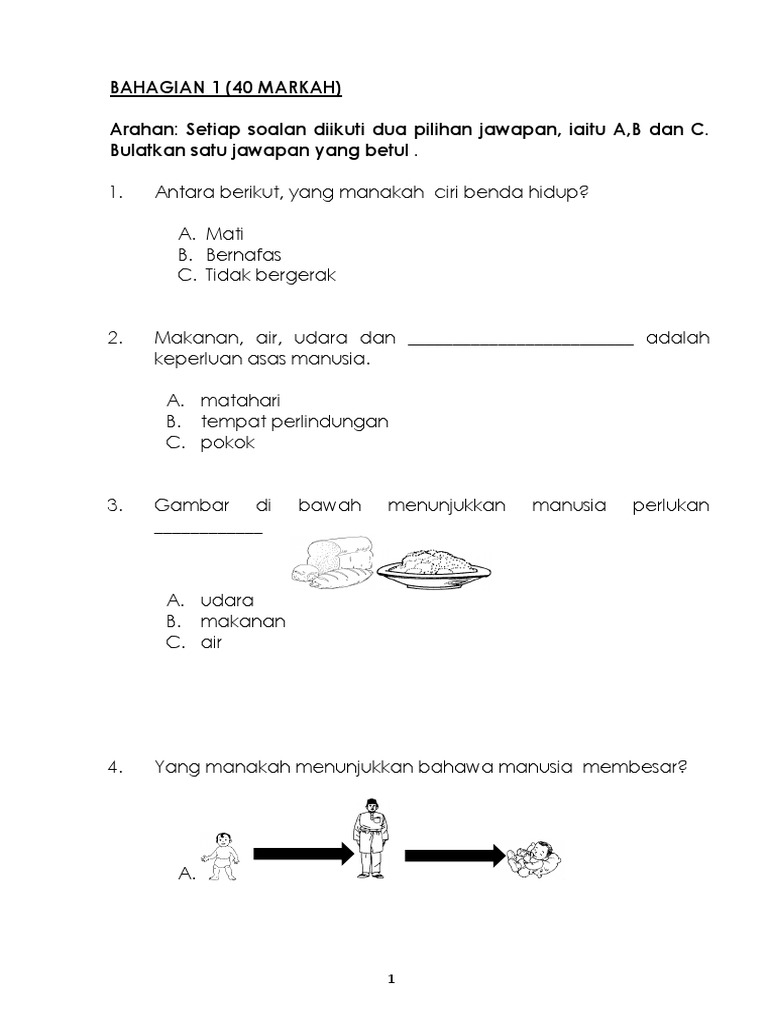 Sains Tahun 1 | PDF