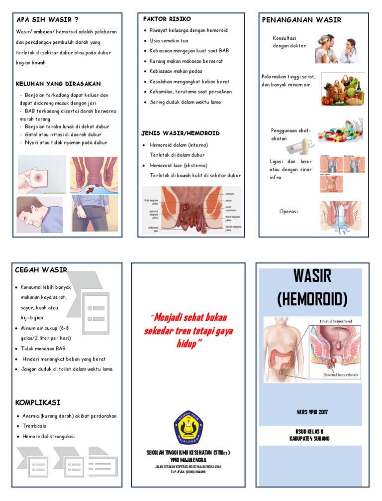 Leaflet Penyuluhan Hemoroid Revisi | PDF