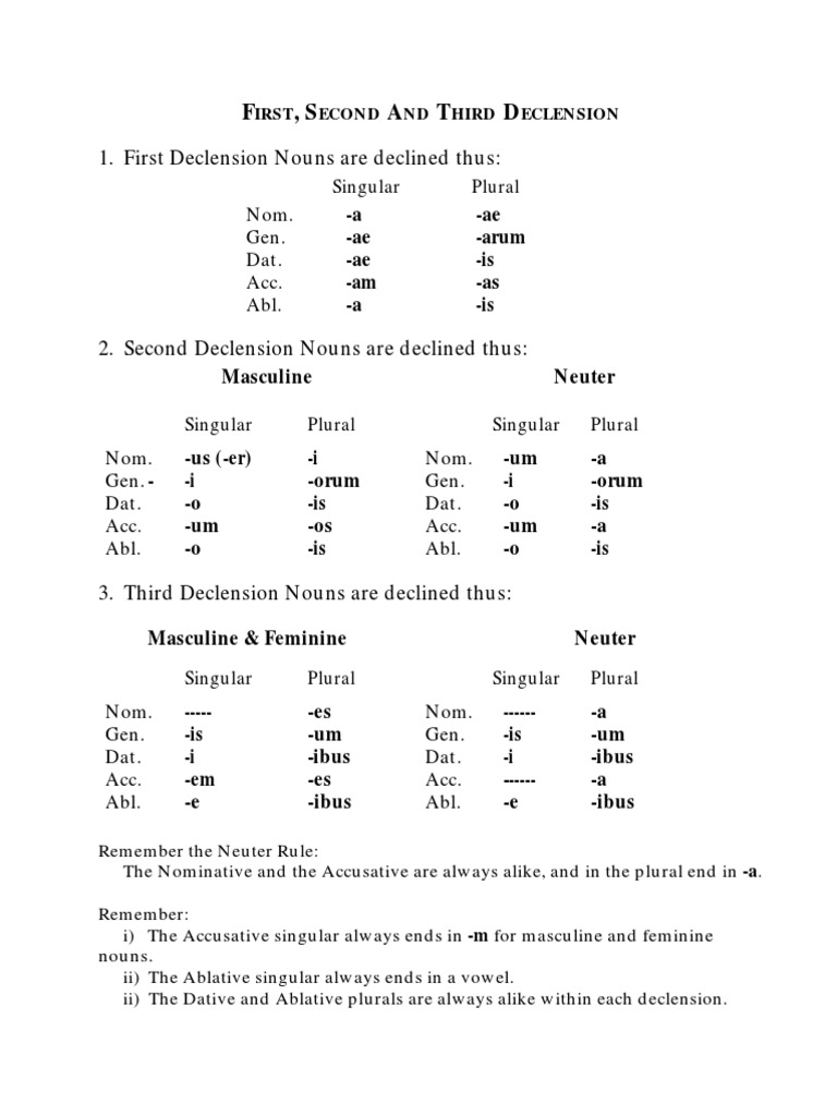 Latin Noun Declension Guide | PDF