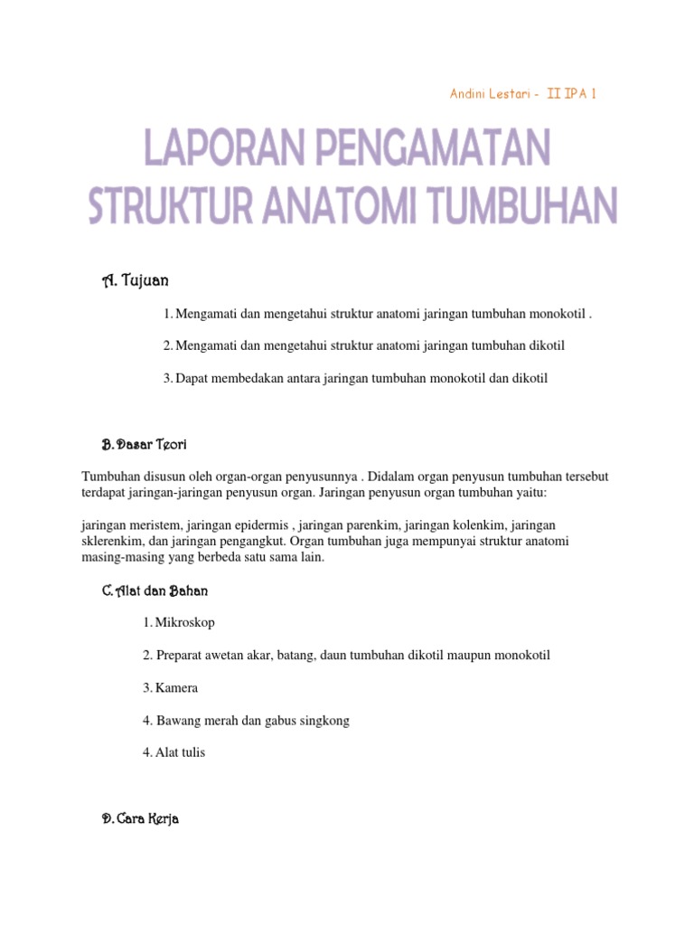 Laporan Pengamatan Anatomi Tumbuhan | PDF | Griya & Taman | Kesehatan Holistik