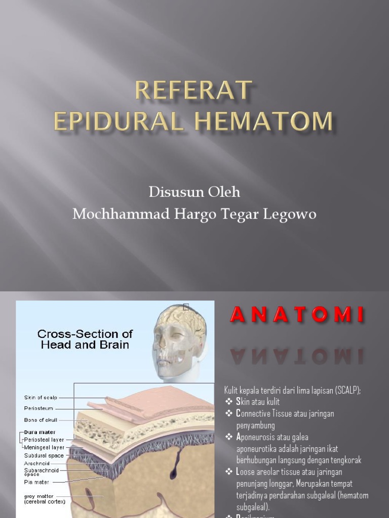 Referat Edh | PDF