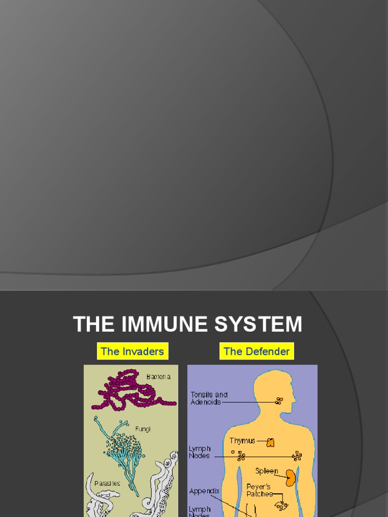 The Complement System: An Overview | PDF | Complement System | Immune System