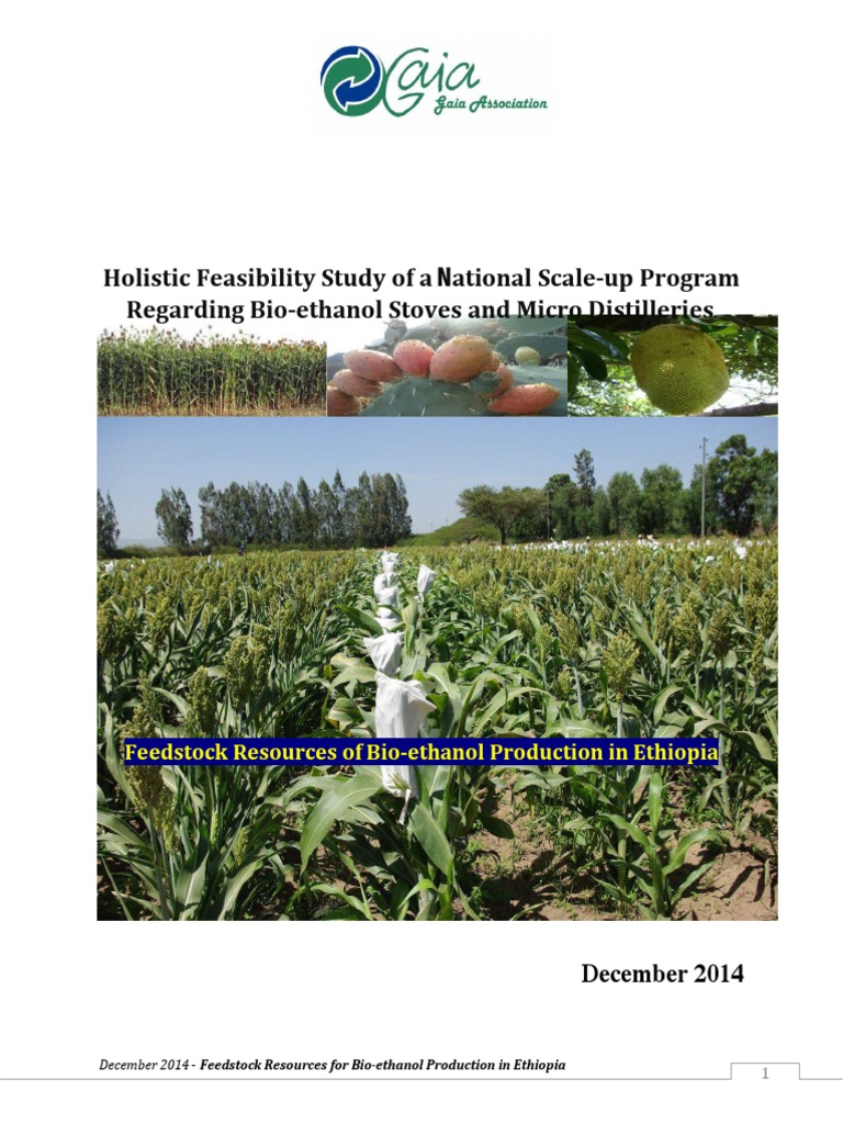2 Bioethanol Feedstock - Compressed1 | Download Free PDF | Sugarcane ...