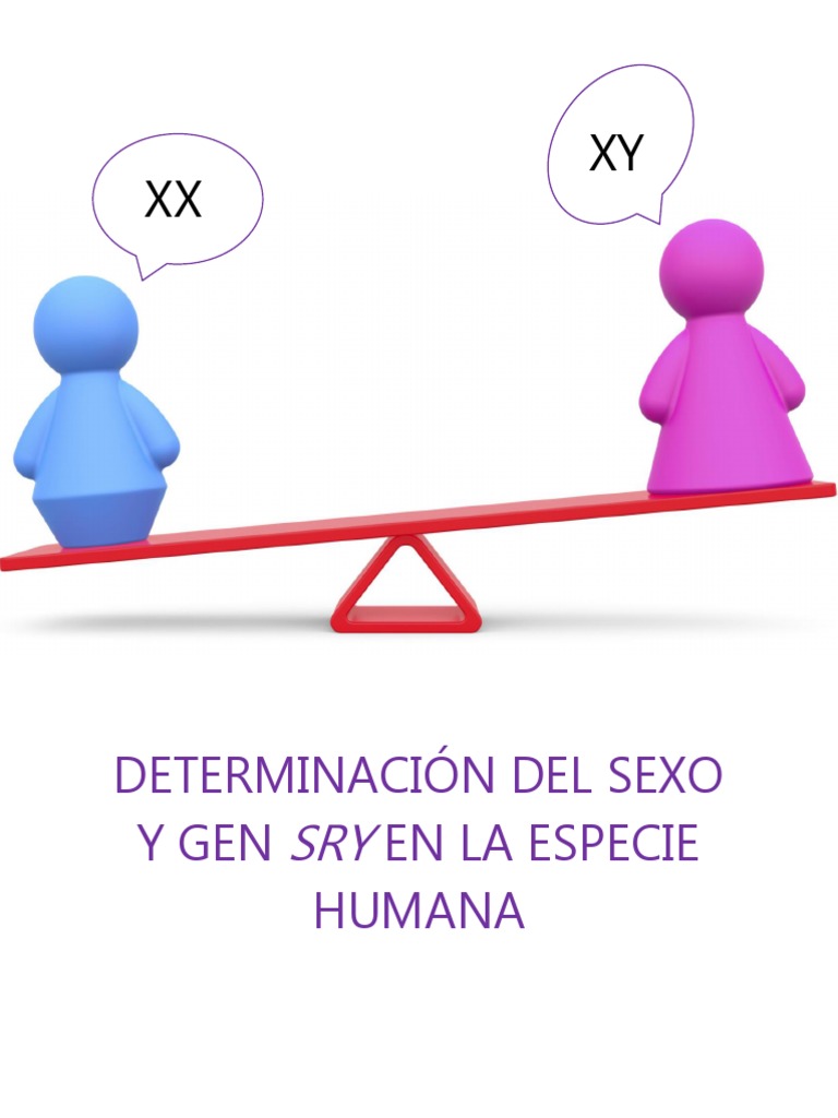 Determinación del sexo humano y papel del gen SRY | PDF | Sexo | Gene