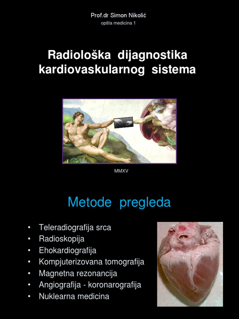 Kardiovaskularni Sistem | PDF