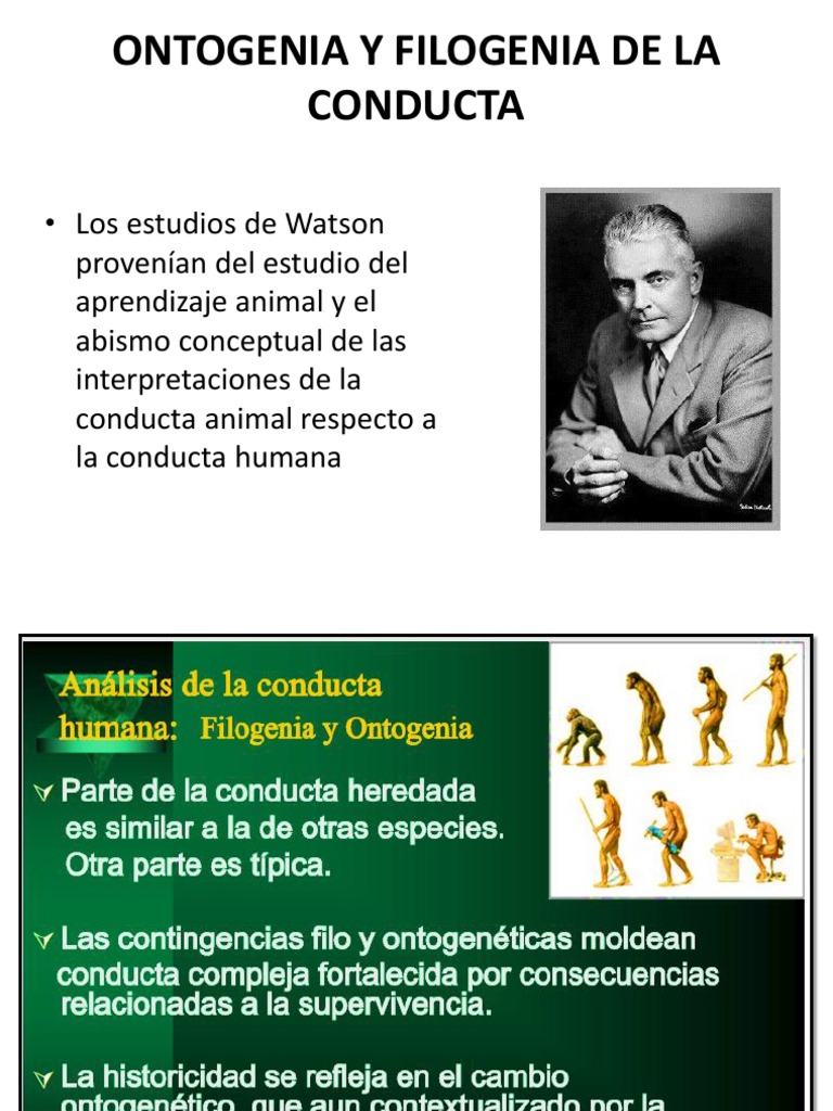 Ontogenia y Filogenia | PDF