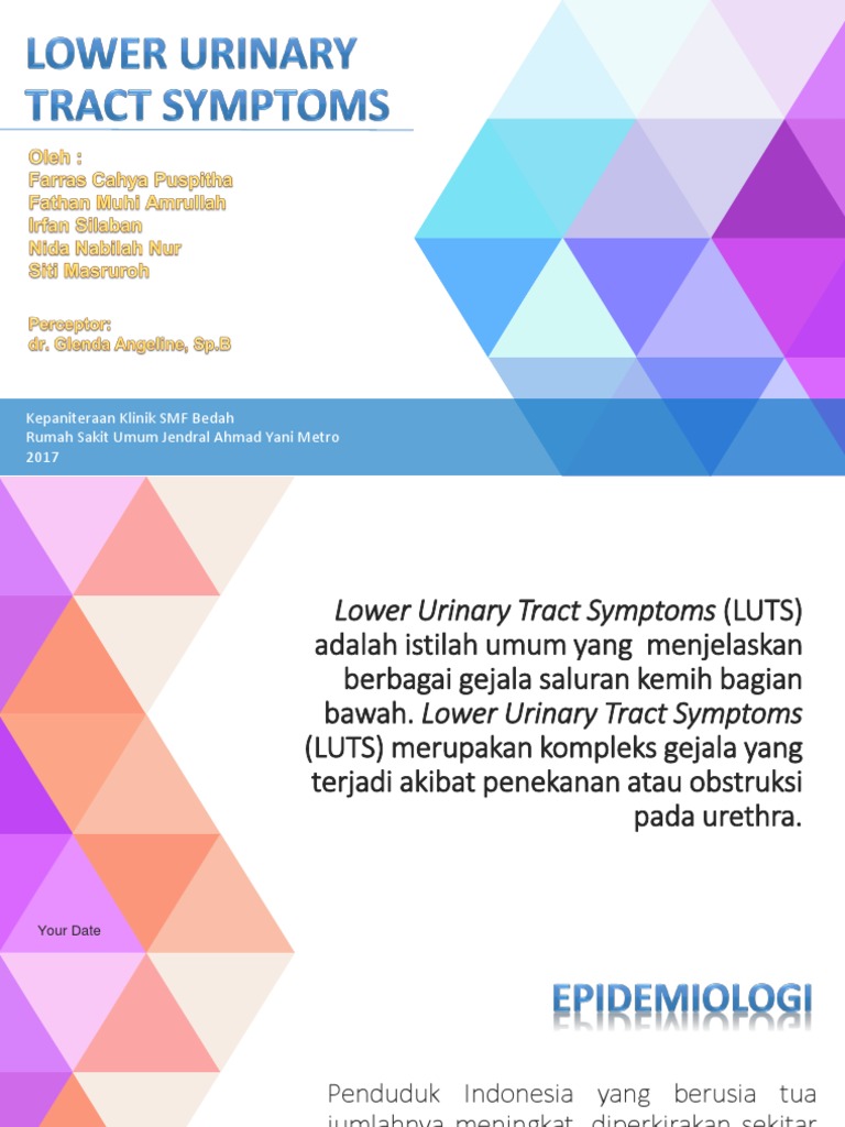 Referat LUTS | PDF