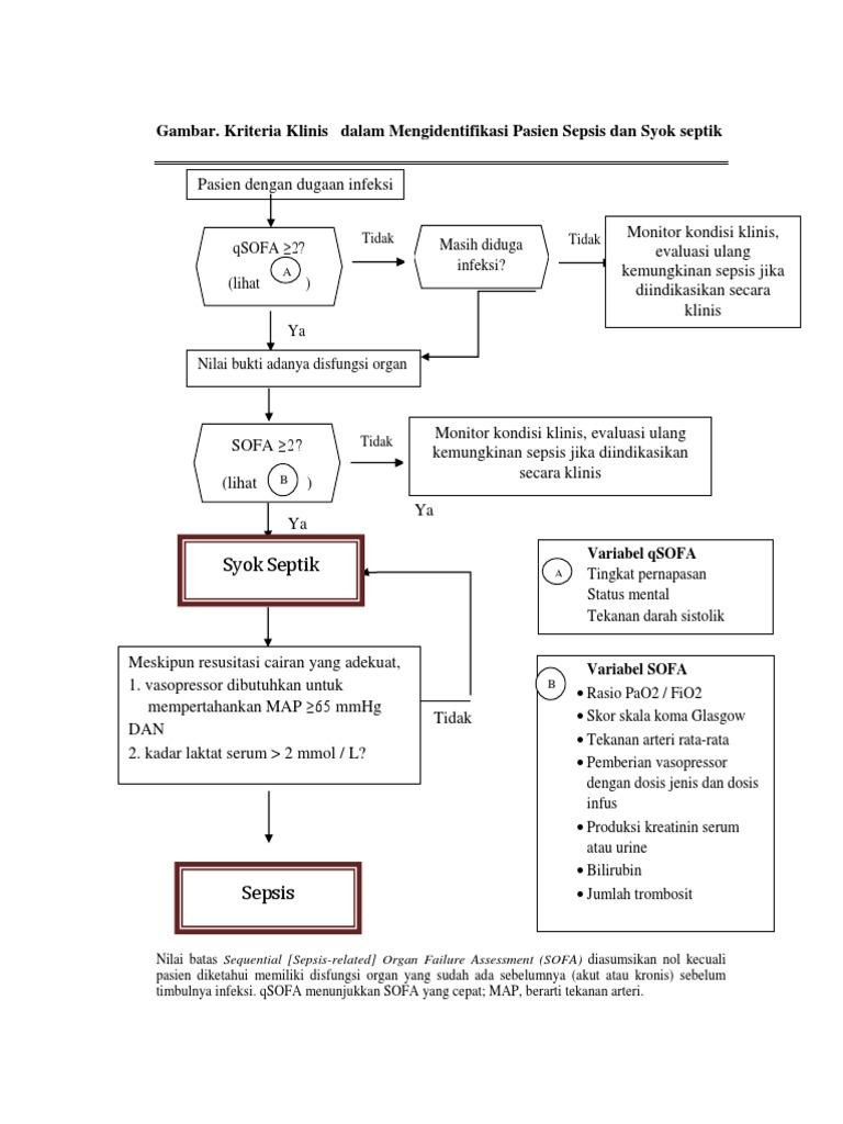 Konsensus Definisi Sepsis - Bab IX. Algoritma Skoring Sepsis QSOFA | PDF