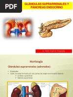 Guía de Sutura Colchonero Horizontal | PDF | Cirugía | Especialidades ...
