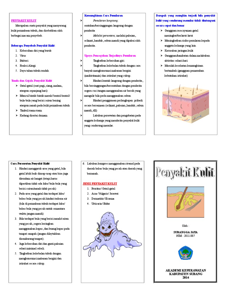 Leaflet Dermatitis | PDF