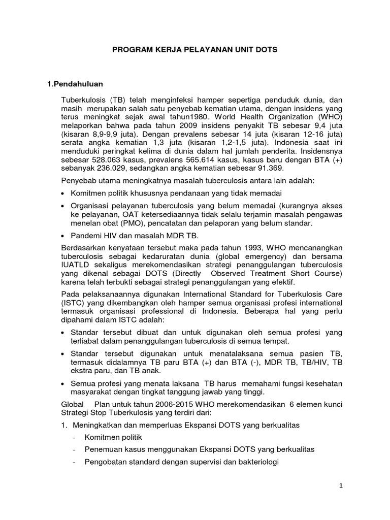 Program Kerja Tim Dots | PDF