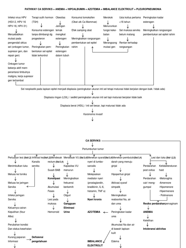 Pathway CA Serviks | PDF