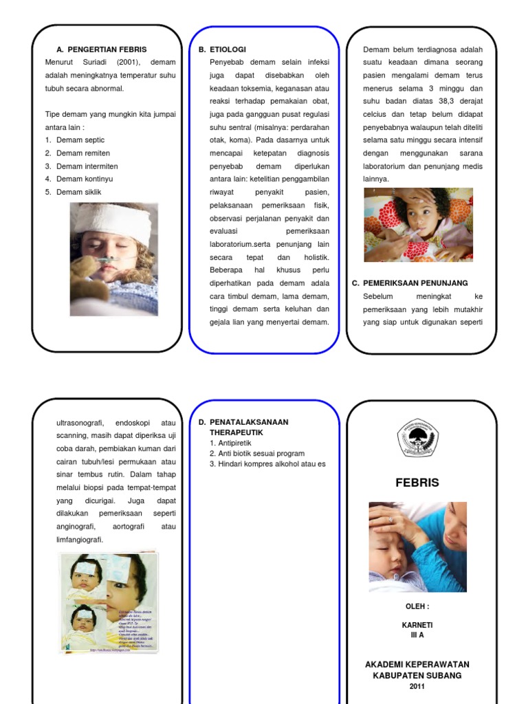 Leaflet Febris | PDF