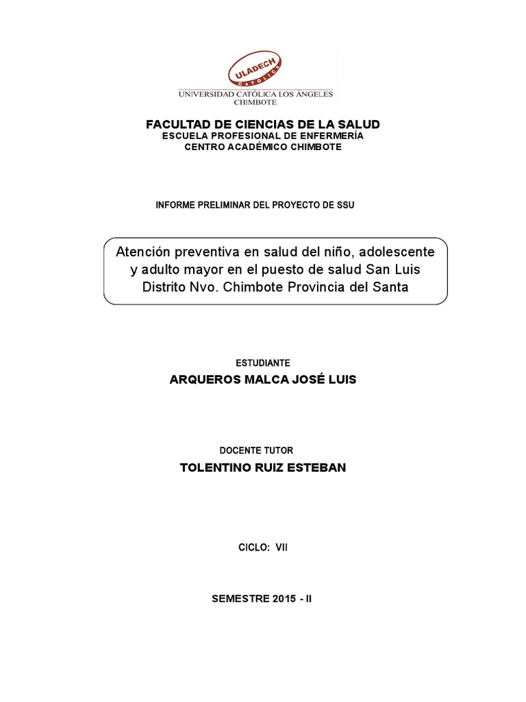 Formato Del Informe Preliminar Es Modelo Informe Preliminar | PDF