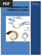 LAPRAK Morfologi Dan Anatomi Ayam | PDF